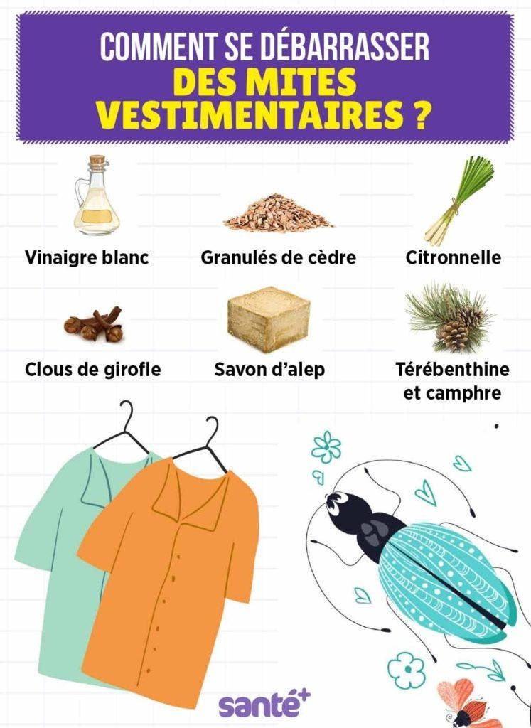 7 astuces pour se débarrasser des mites vestimentaires