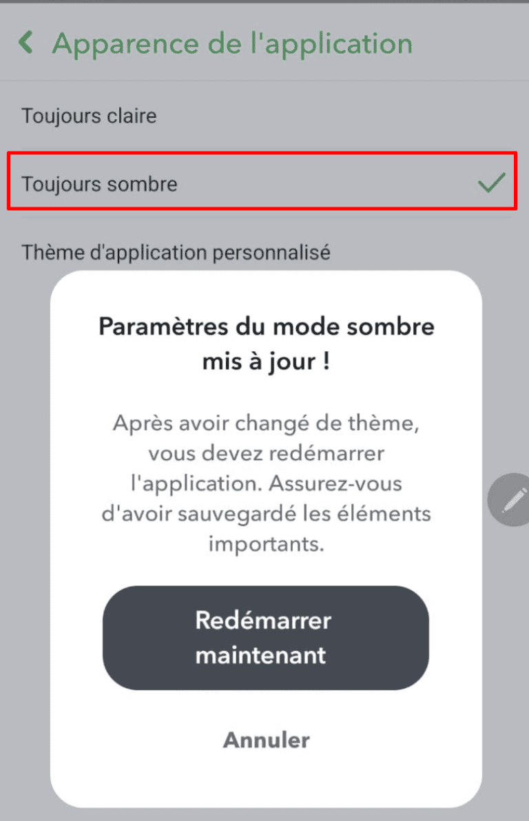 Comment mettre snap en noir sur iPhone, Android et ordinateur en 2024