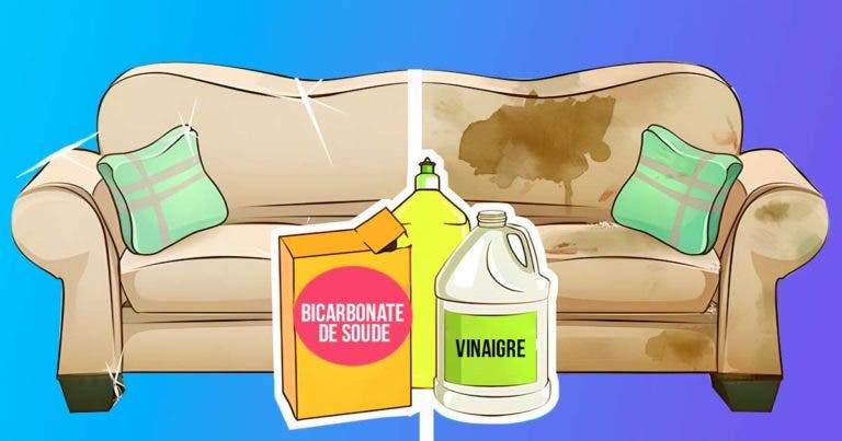 Comment enlever les taches et se débarrasser des acariens des fauteuils ...