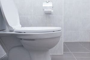 Pourquoi est-il indispensable de tirer la chasse d’eau des toilettes au ...