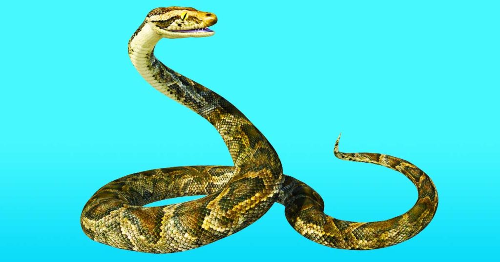 Comment éliminer et prévenir l'apparition des parasites qui attaquent ...