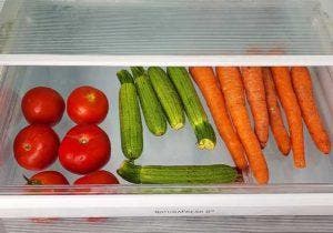 Quelle est la température idéale du frigo et du congélateur