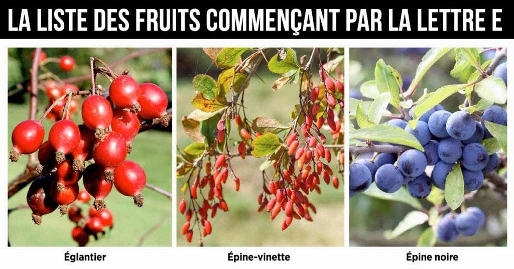 Liste complète des fruits de A à Z