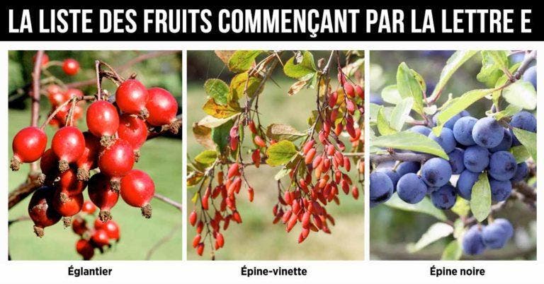 Liste complète des fruits de A à Z
