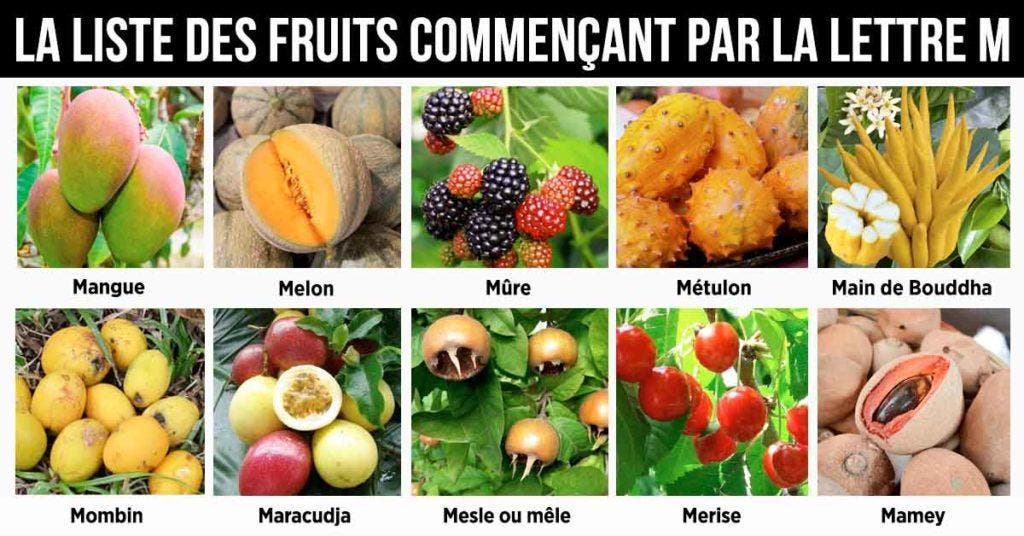 Fruit en M : la liste des fruits commençant par la lettre M