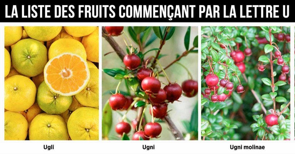 Fruit en U : la liste des fruits commençant par la lettre U