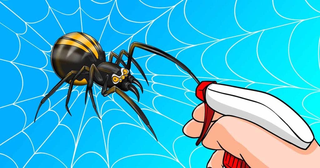 5 astuces pour éloigner les araignées de la maison