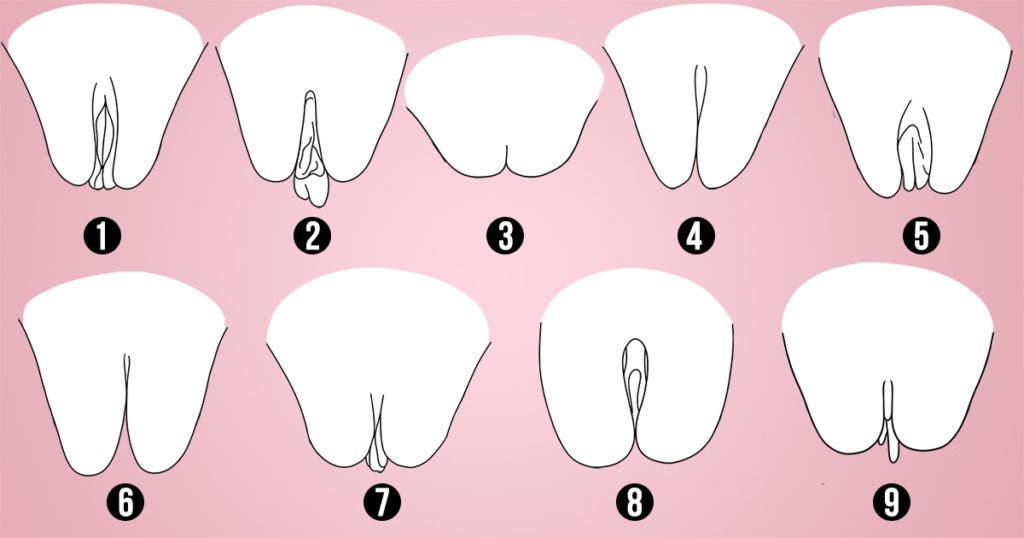 Quels sont les 10 types de vagins qui existent dans le monde