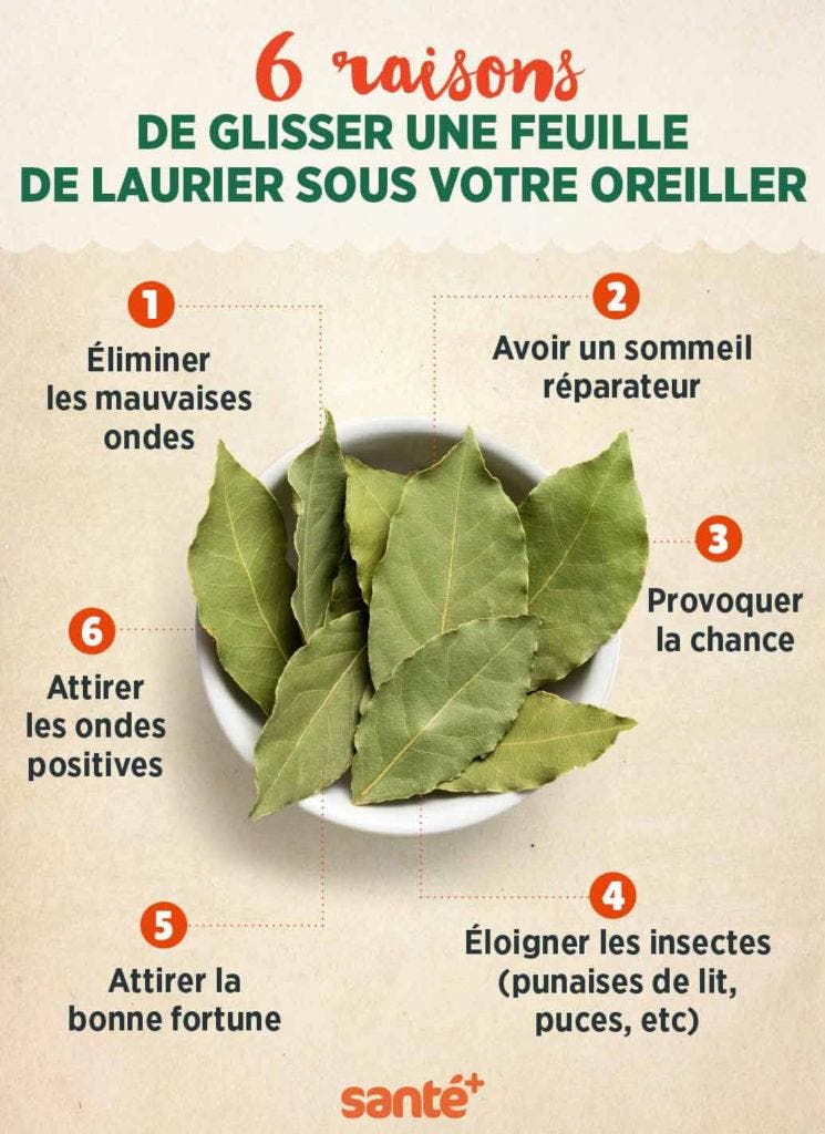 Pourquoi faut-il glisser une feuille de laurier sous son oreiller