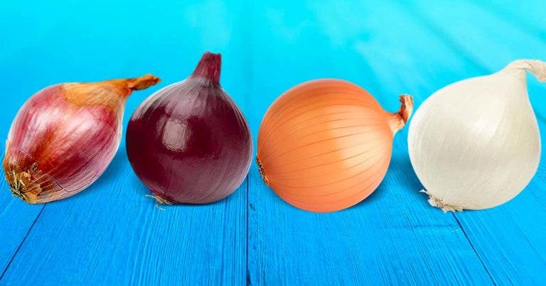 Quelle est la différence entre les oignons rouges, blancs et jaunes