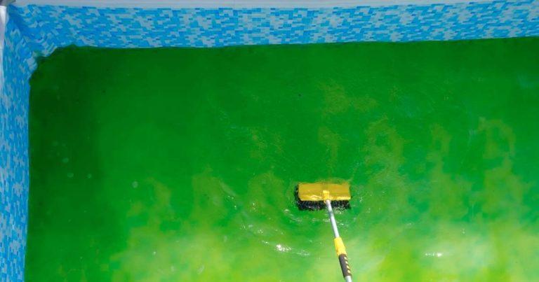 Eau de piscine verte : 5 remèdes de grand-mère pour se débarrasser des ...