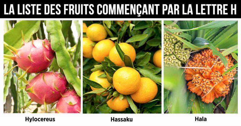 Fruit en L : la liste des fruits commençant par la lettre L