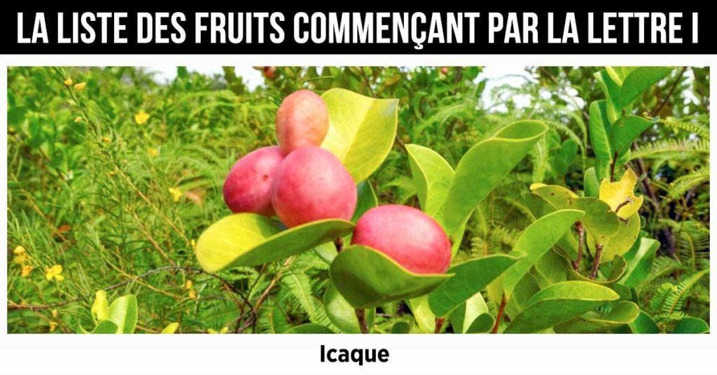 Fruit en I : la liste des fruits commençant par la lettre I
