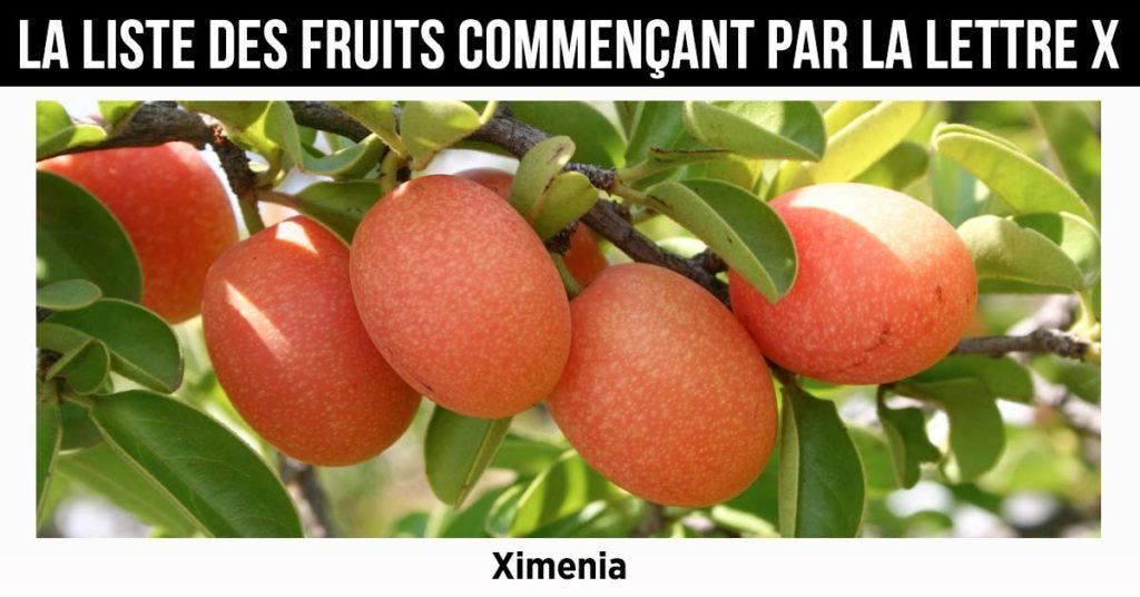 Fruit en X : la liste des fruits commençant par la lettre X