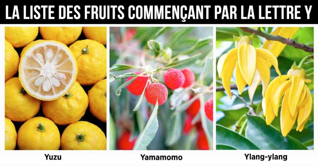 Fruit en H : la liste des fruits commençant par la lettre H